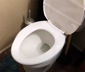 Glacier Bay Vs. Project Source Toilets: In-depth Differences