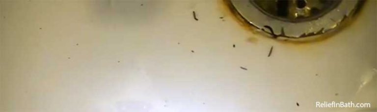 Worms in Shower Cracks: Reasons And How To Get Rid of Them?