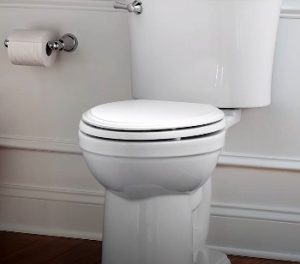 American Standard Esteem VorMax Problems And How To Fix Them?