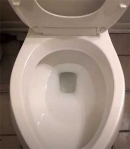 KOHLER Gleam Toilet Review From Experience: Is It Worth It?