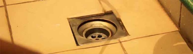 Standing Water Inside Shower Drain: Reasons And How To Fix?