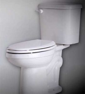 ProFlo Toilet Vs. Kohler Toilet: In-depth Differences