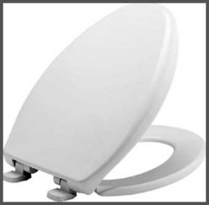 TOTO SS124 Vs. SS114: The Great Toilet Seat Debate