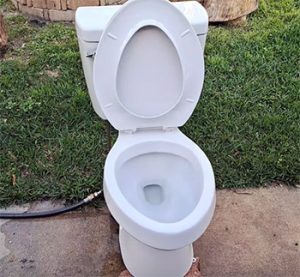 Project Source Toilet Reviews 2025: Should You Have It?