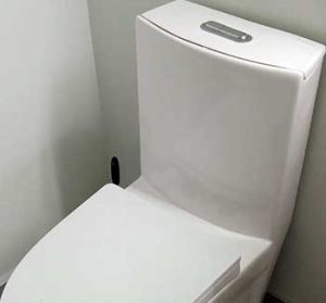 KOHLER Gleam Toilet Review From Experience: Is It Worth It?