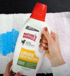 Zep Urine Remover Reviews: Is It A Reliable Solution?