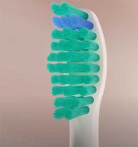 Philips Sonicare C1 Vs. C2 Vs. C3 Brush Head: In-depth Differences